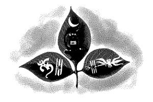 Belpatra: Ayurvedic Significance, Health Benefits, and Traditional Remedies