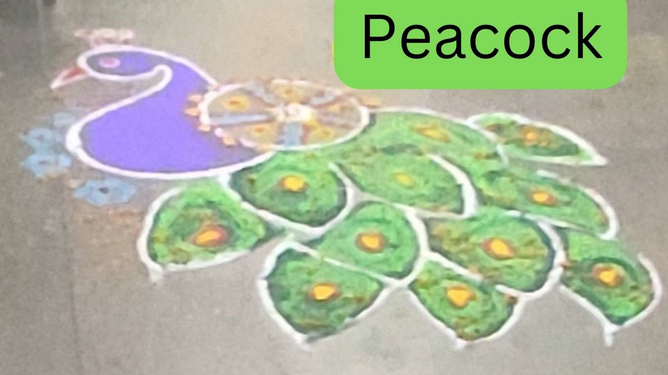 Simple Peacock Rangoli Design for Festivals